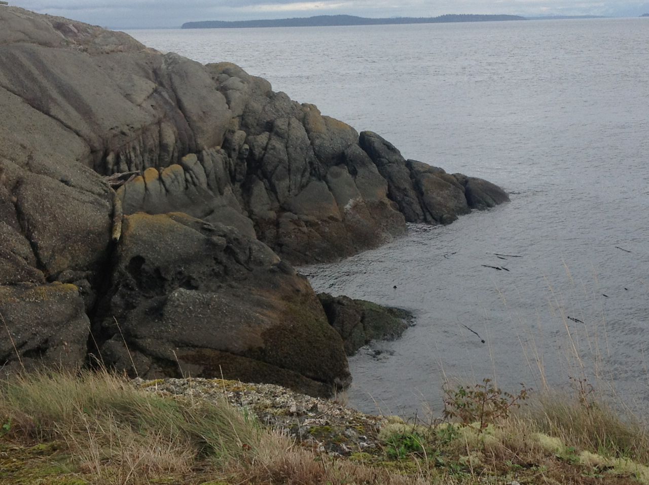 Sip on Patience – Don Hynes Poetry