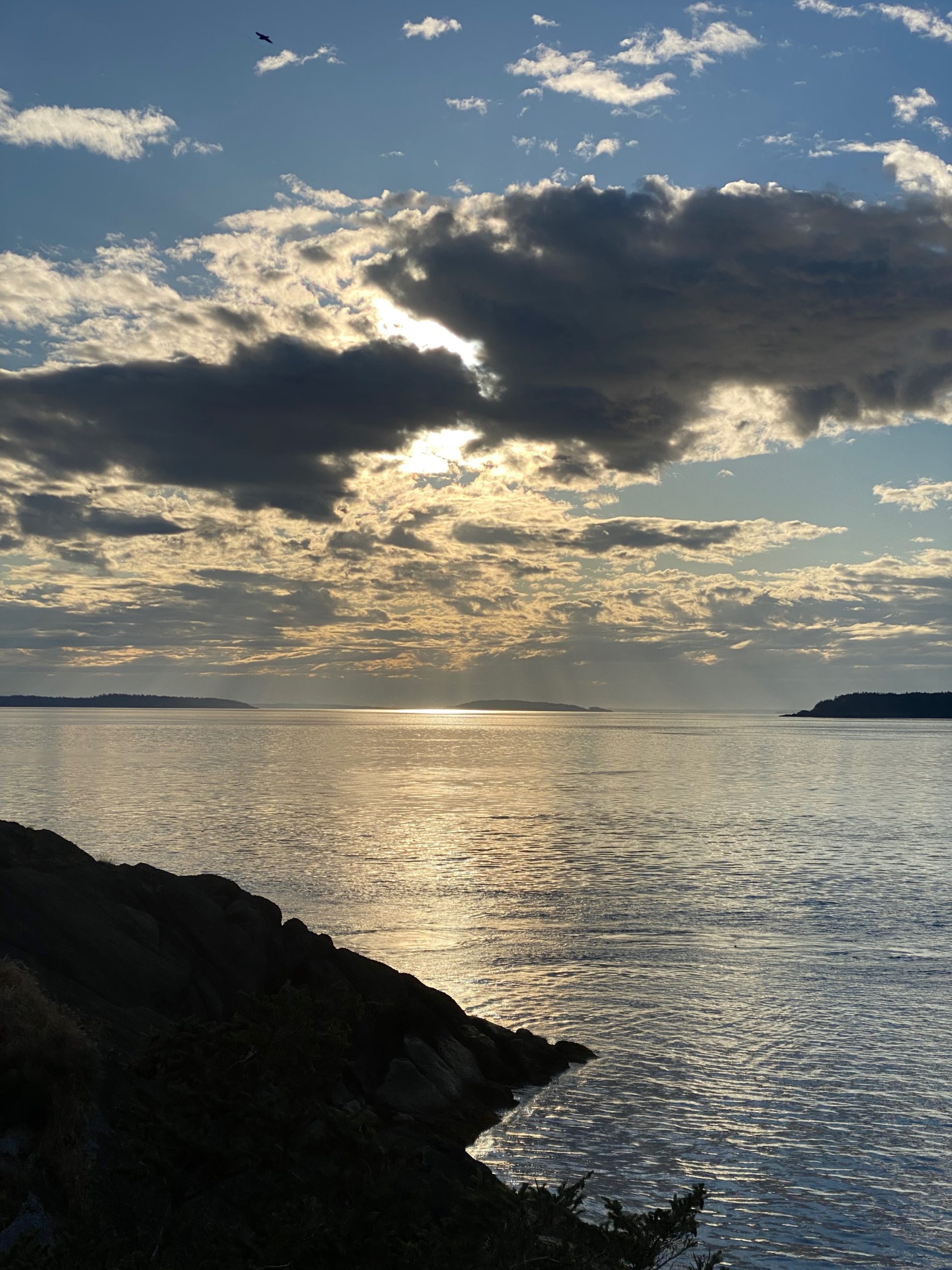 Bell Without Sound – Don Hynes Poetry