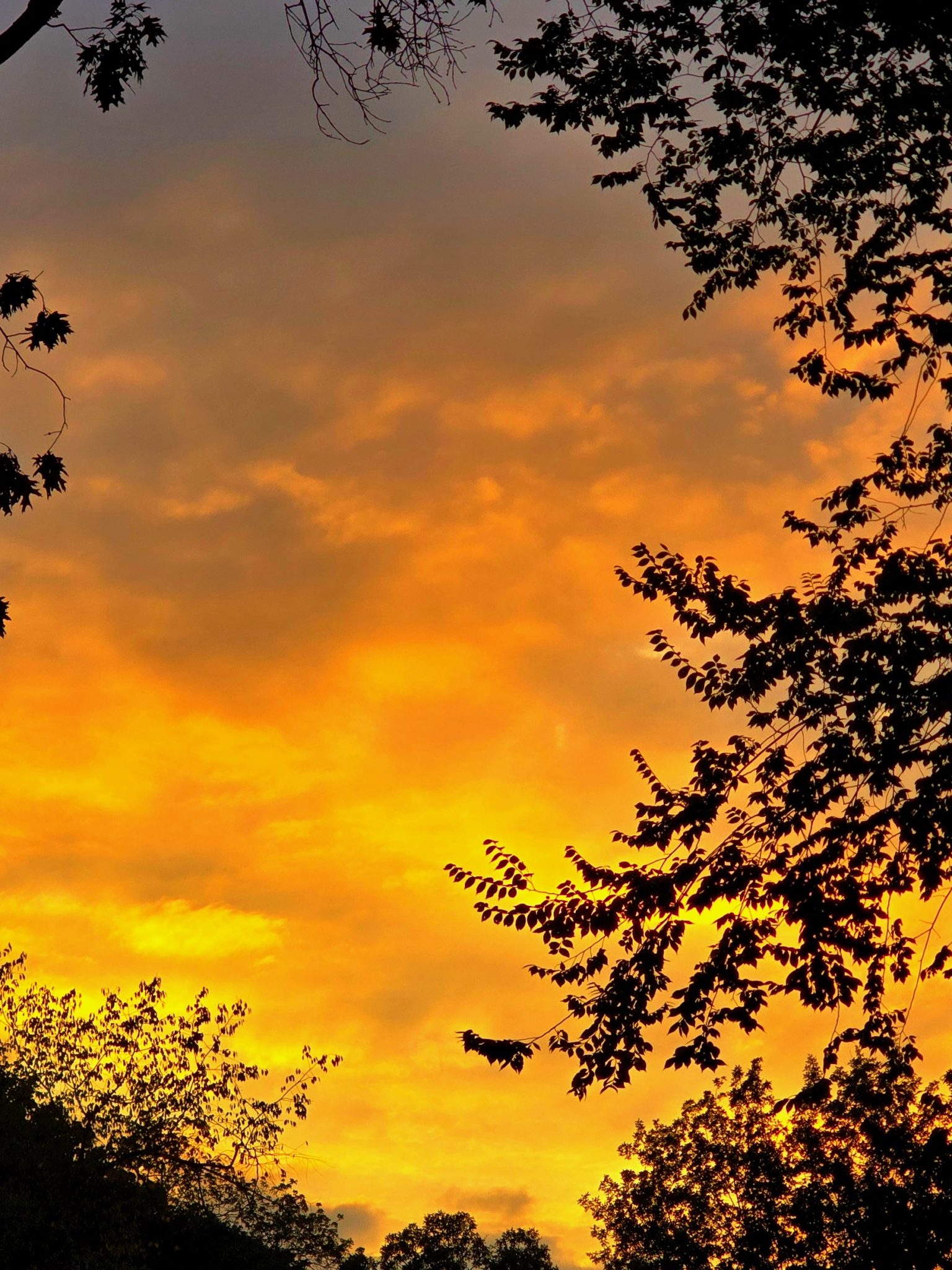 Day of Grace – Don Hynes Poetry
