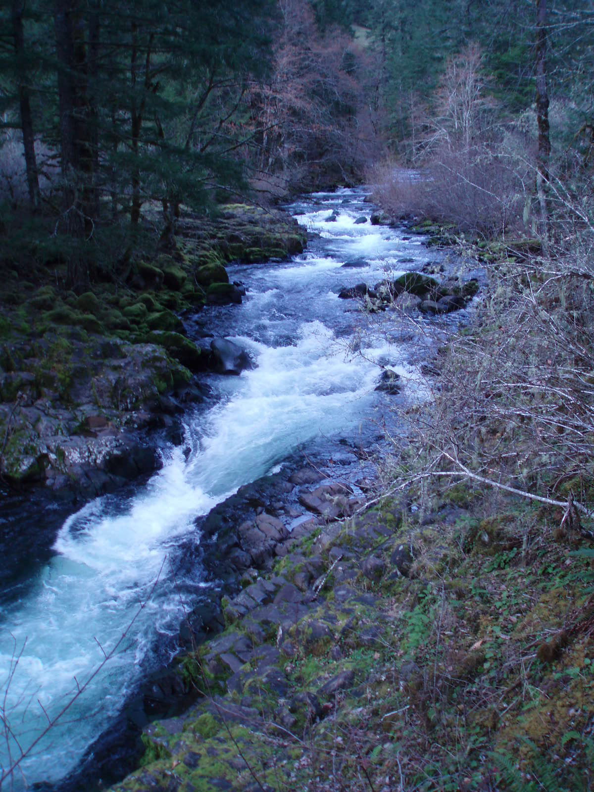 Freshwater Spring – Don Hynes Poetry