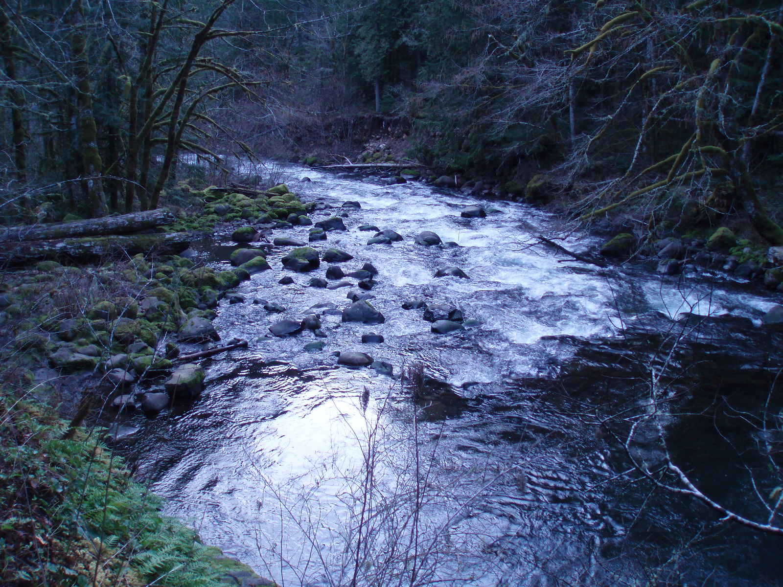 Like a River – Don Hynes Poetry