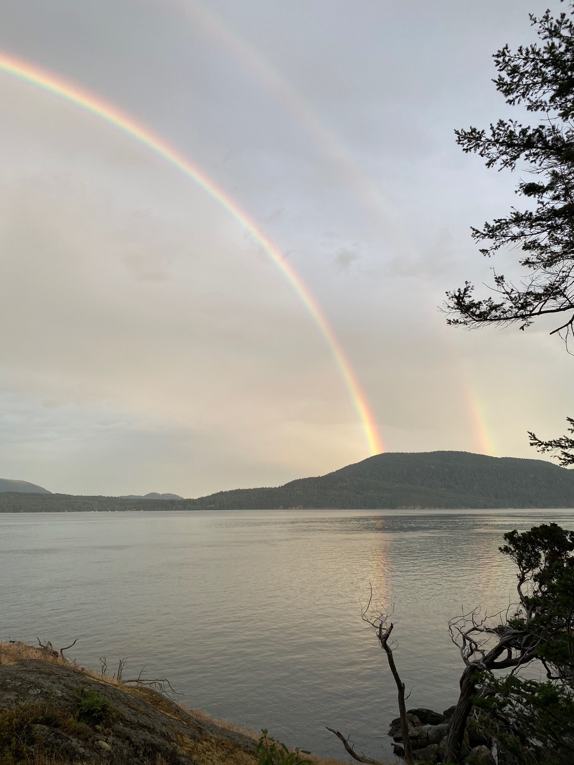 May These Words Find You – Don Hynes Poetry