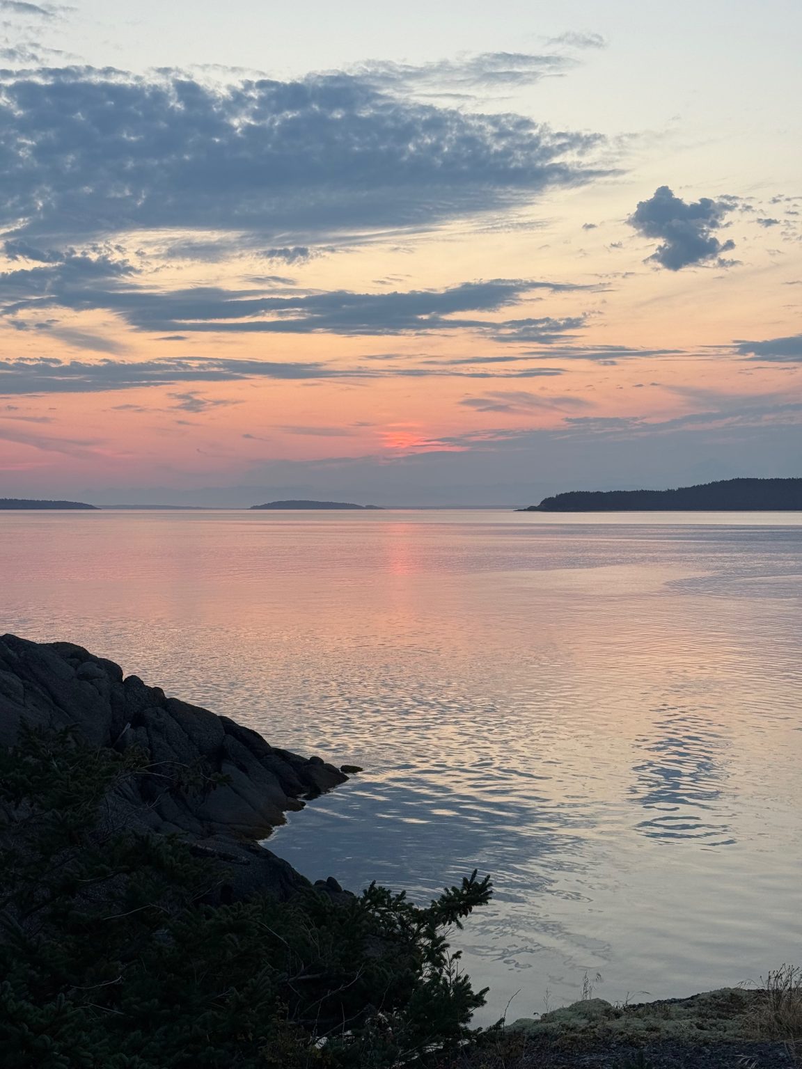 Morning Worship – Don Hynes Poetry