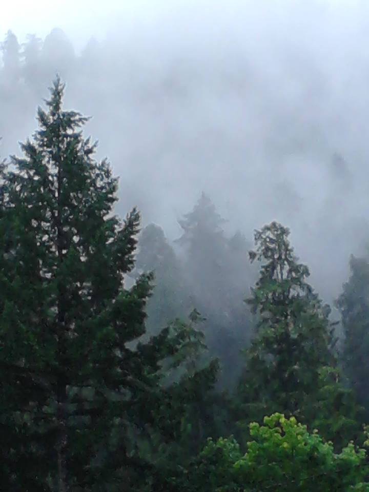 Oregon Rain – Don Hynes Poetry