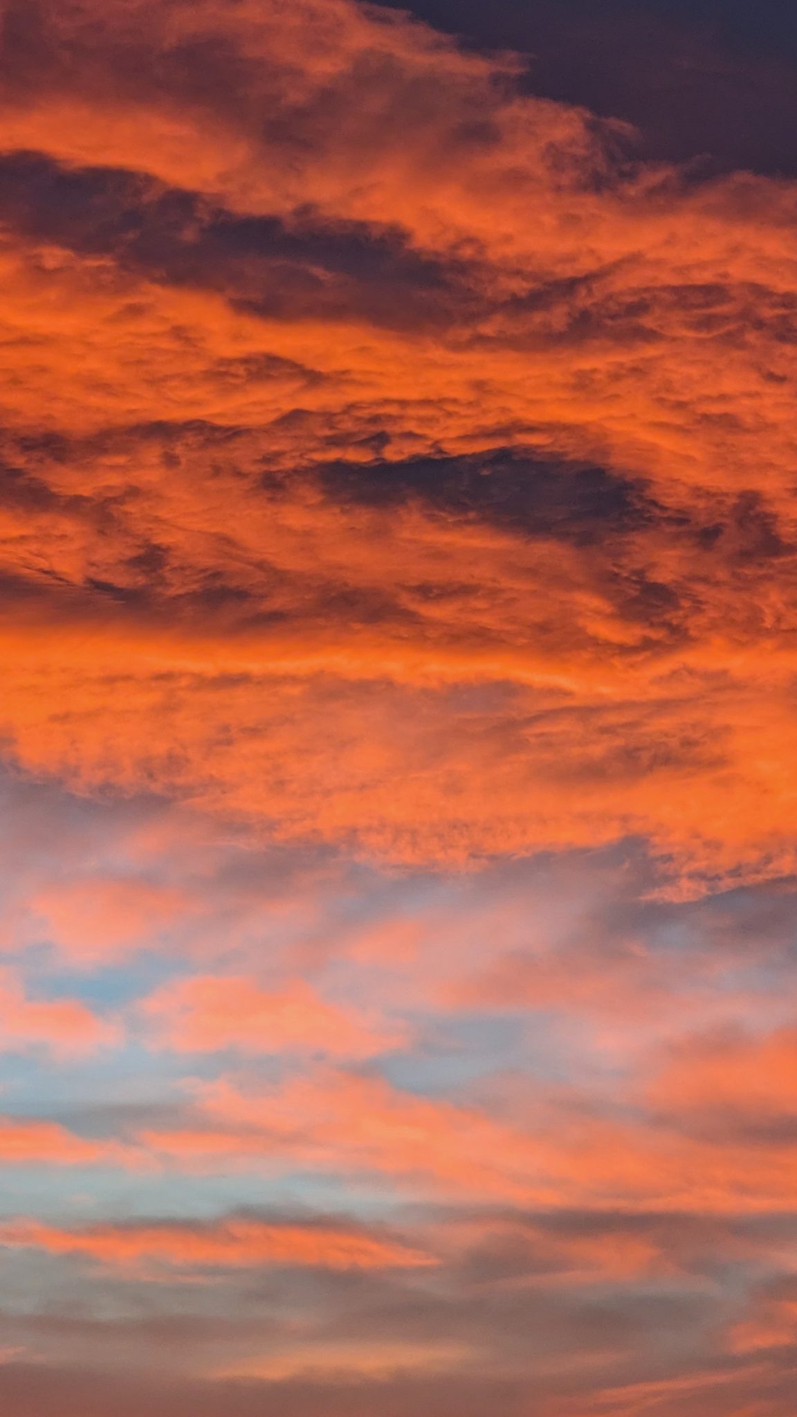 Uprising – Don Hynes Poetry