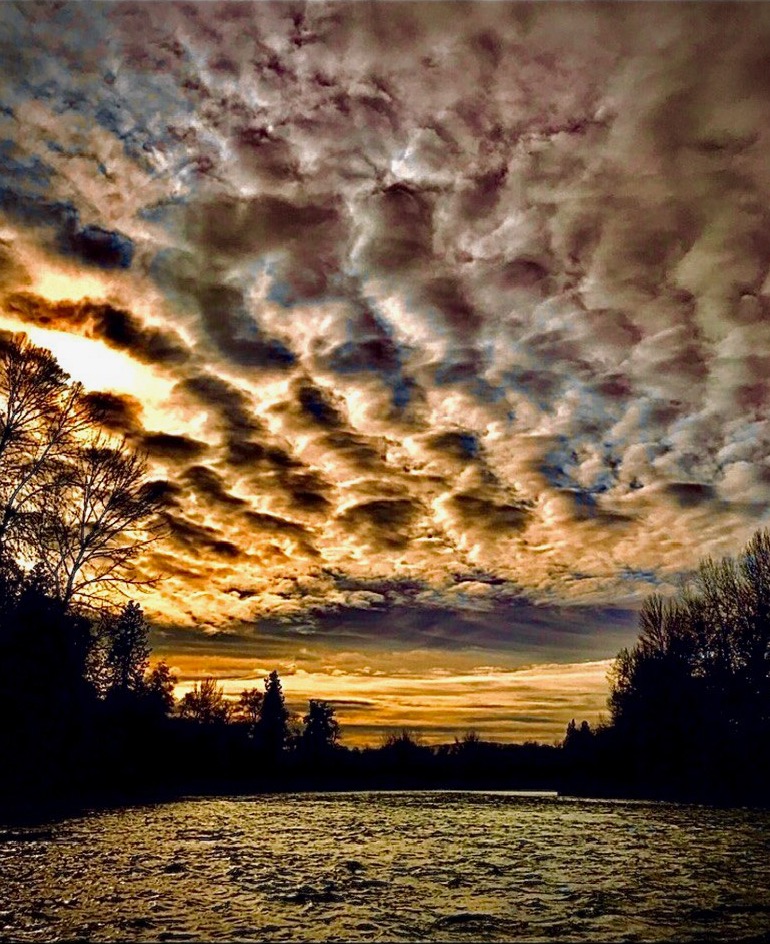 Rootward – Don Hynes Poetry