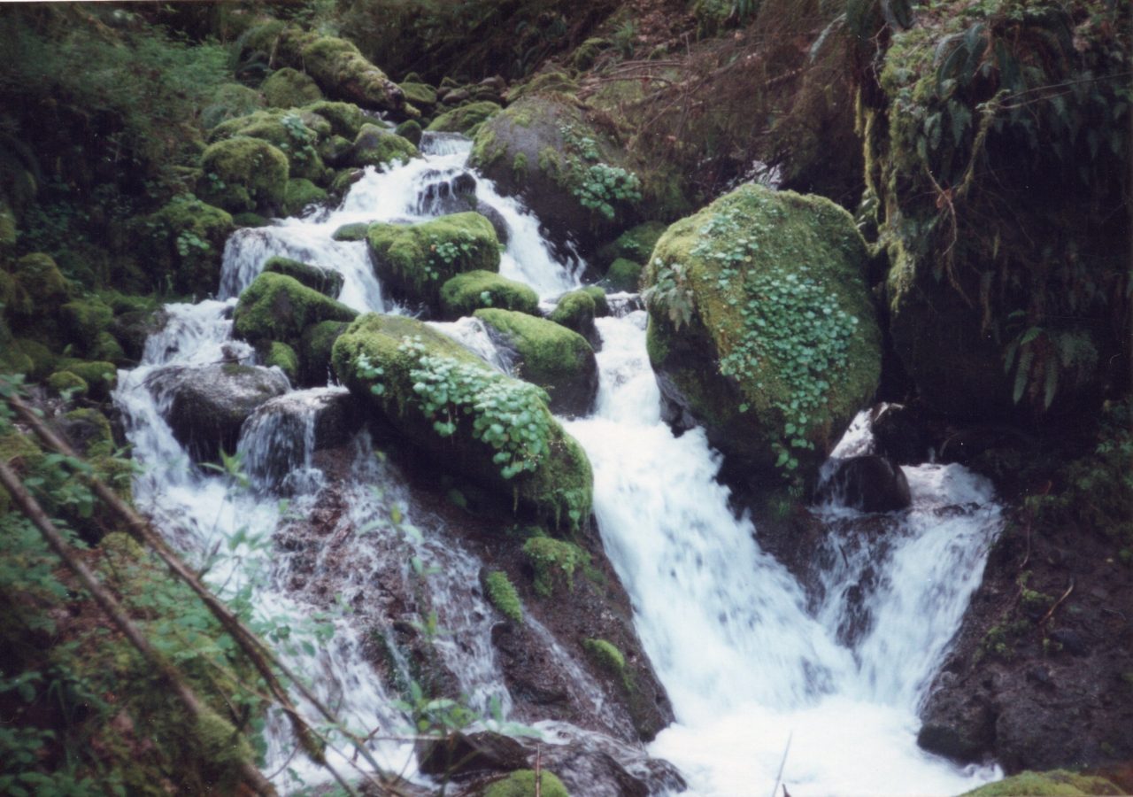 Secrets of the Dawn – Don Hynes Poetry