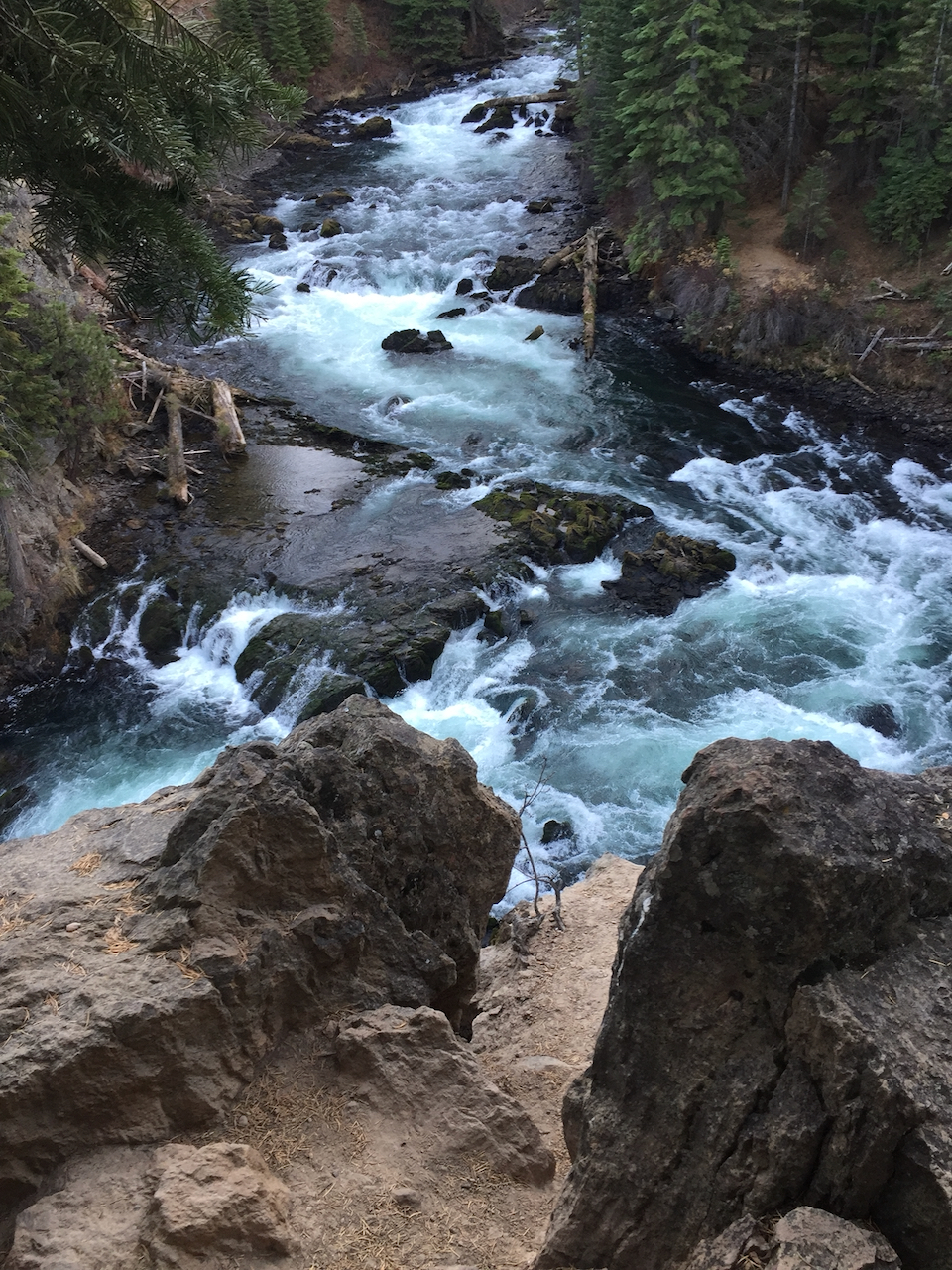 Song Line – Don Hynes Poetry