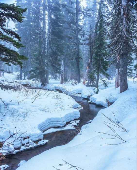 Winter Rest – Don Hynes Poetry